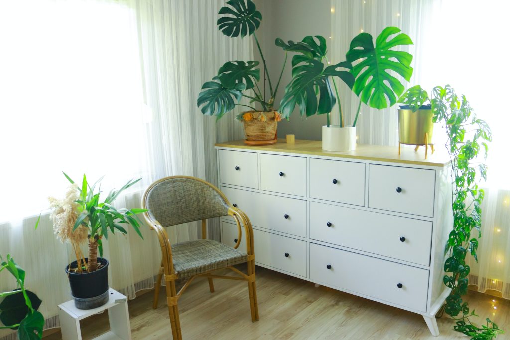 An Introduction to Vignettes in Interior Design – Everything You Need ...